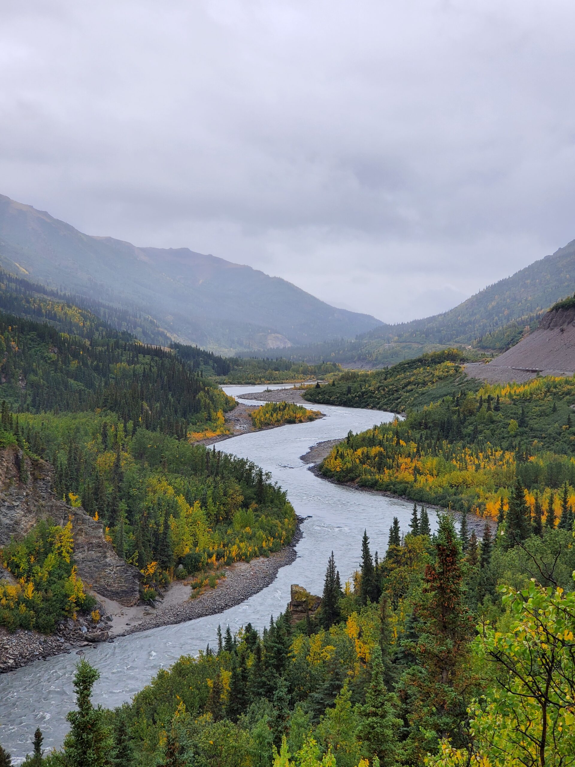 The Road Goes Ever On and On – WellTree